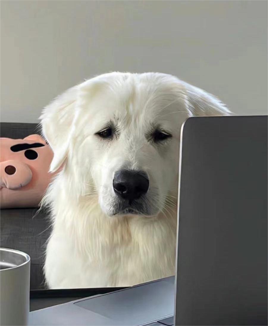 Pinia状态管理实现数据同步问题 | Luax的博客